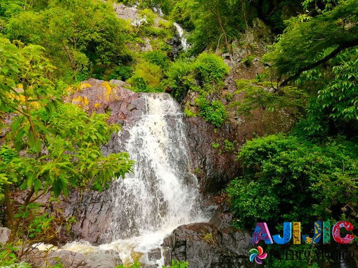El Tepalo: A Tropical Haven in Ajijic - Ajijic Pueblo Mágico